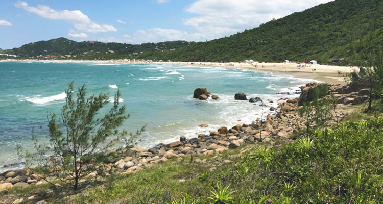 Praia do Rosa: Um guia para aproveitar esse paraíso em Santa Catarina ...