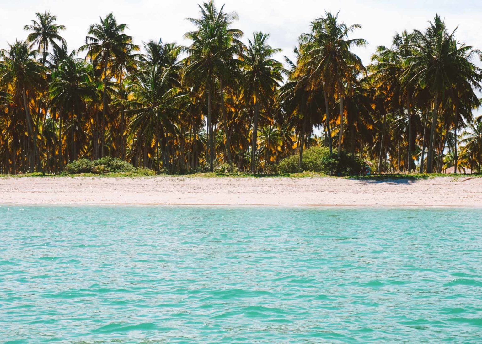 O que fazer na Praia do Patacho, em Alagoas: melhores passeios e dicas