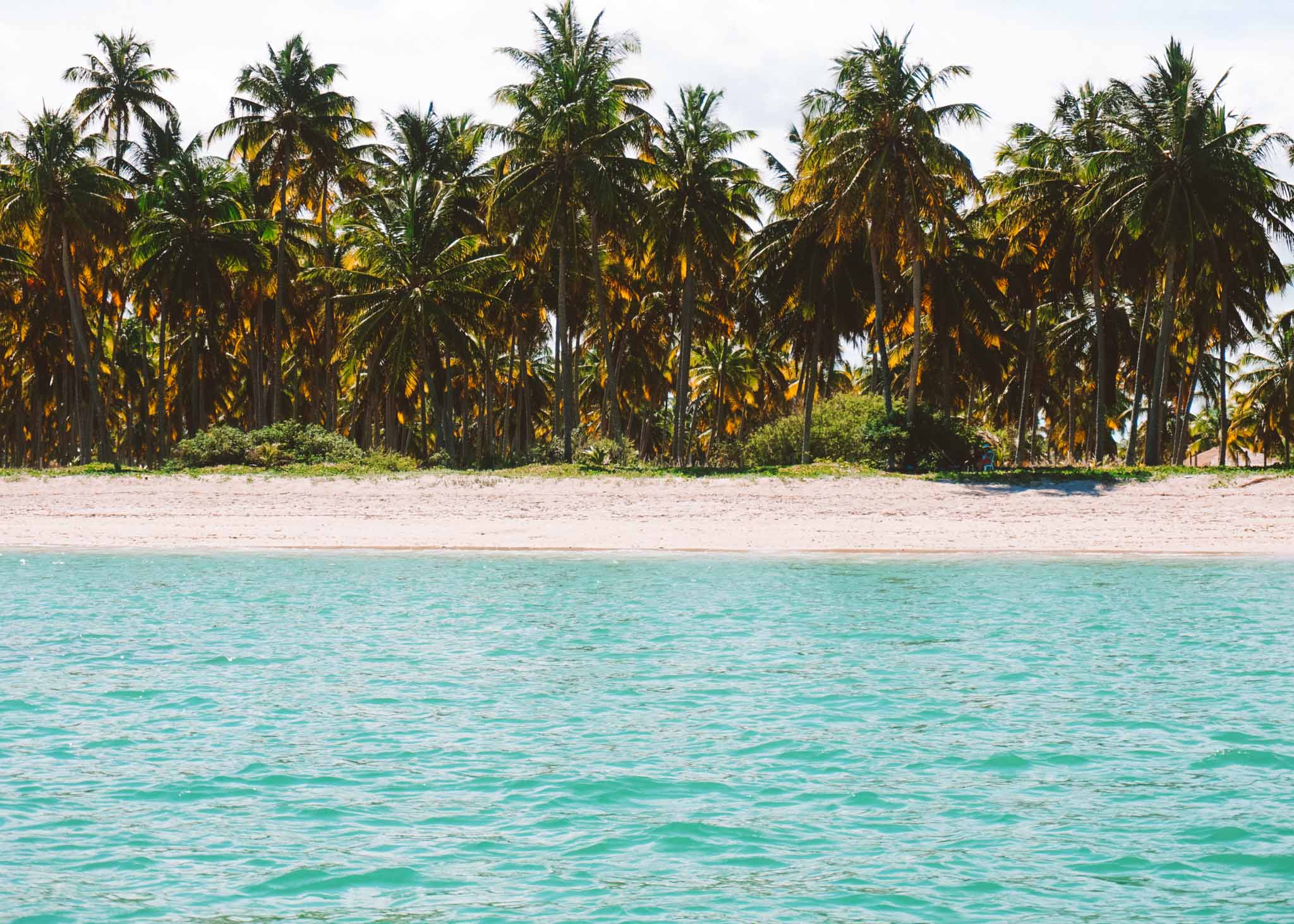 O que fazer na Praia do Patacho, em Alagoas: melhores passeios e dicas